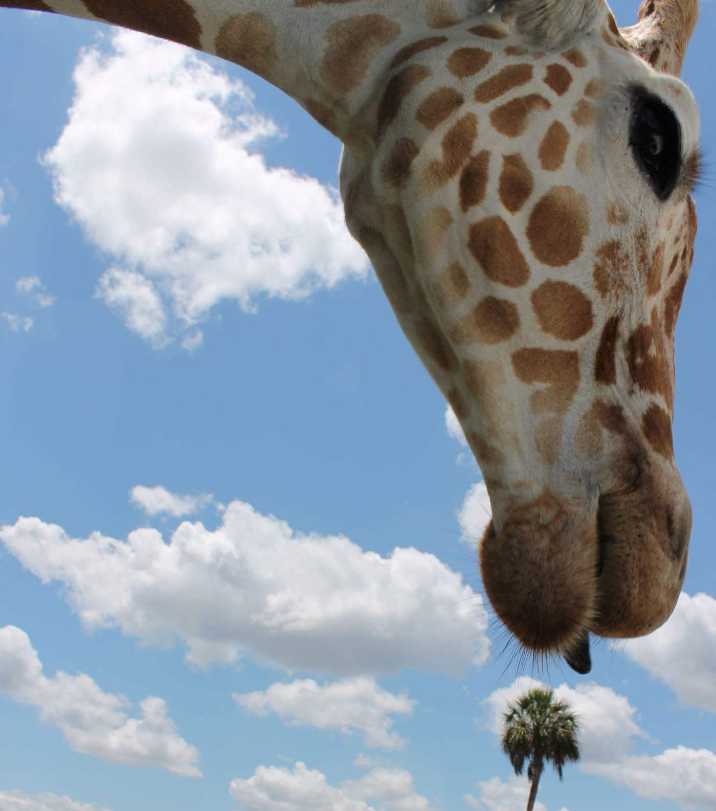 Talk map - Tucker McElroy