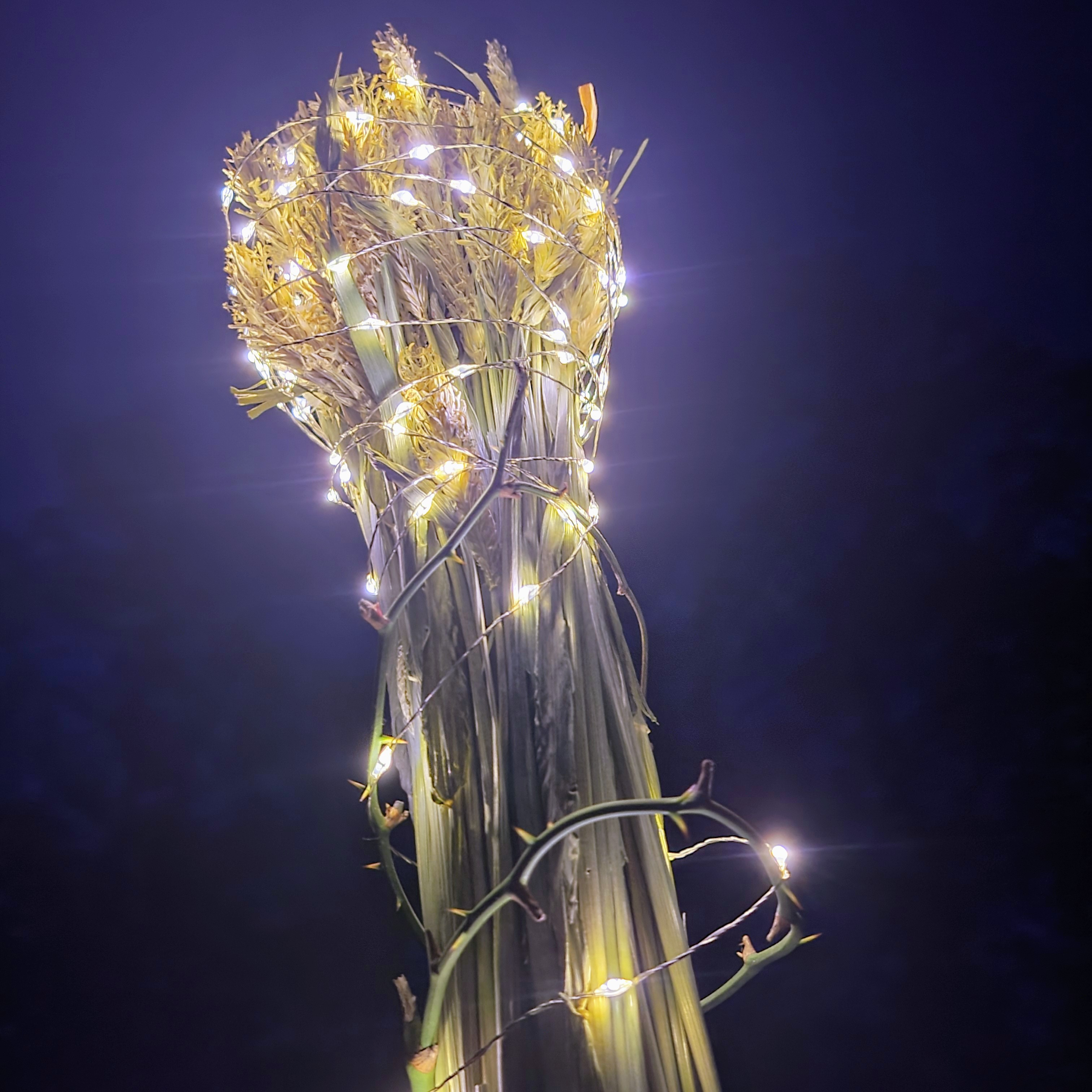 Sheaf: Prodigal - Tucker McElroy